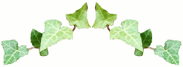 IVE The Interactive Visualization Environment